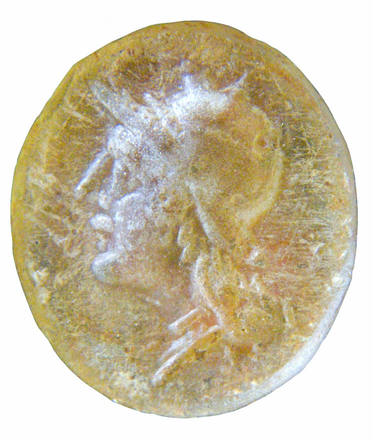 Visit the Roman Worcestershire exhibition from home