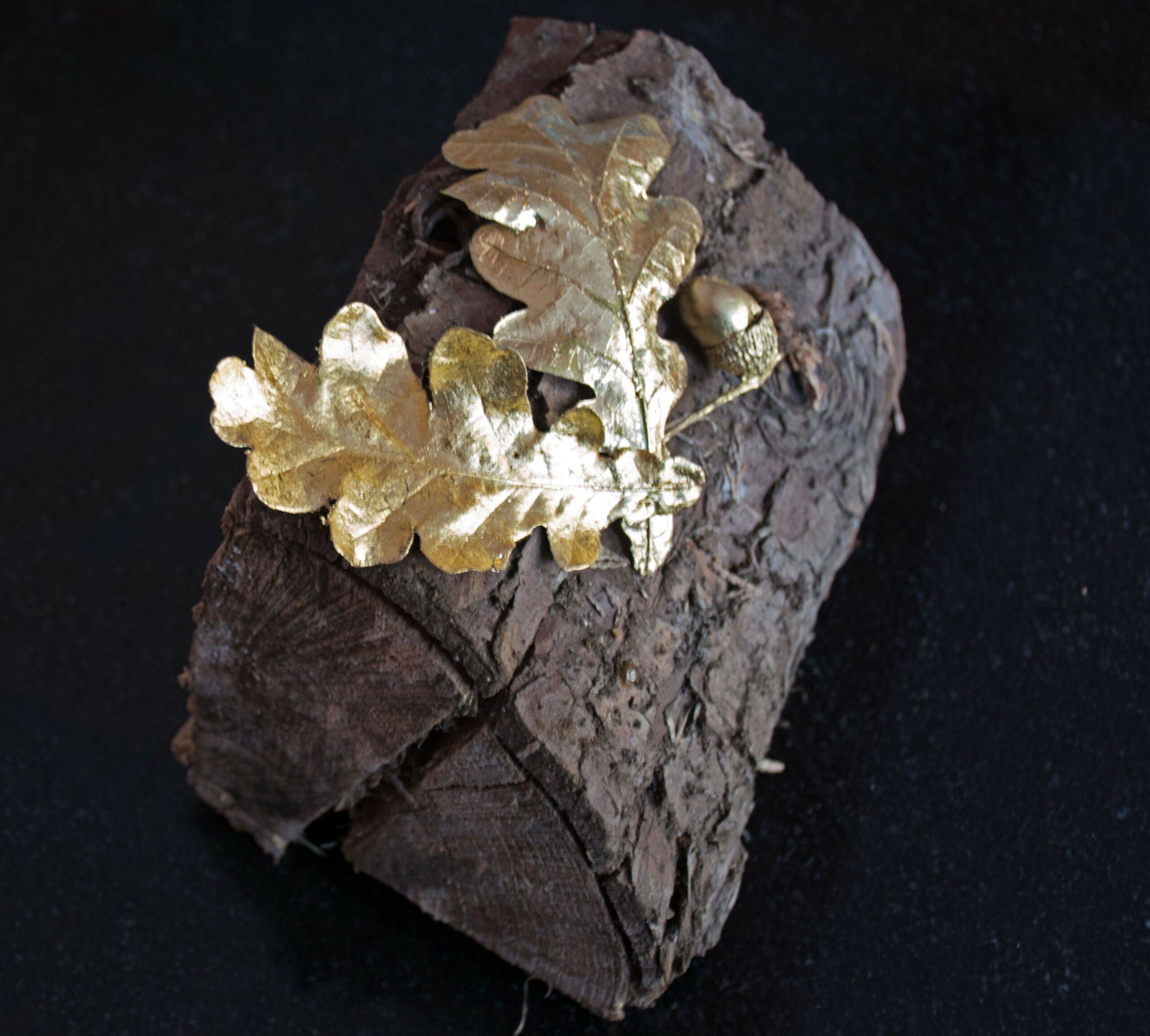 Aspire - contemporary art interventions by artist Wayne Warren